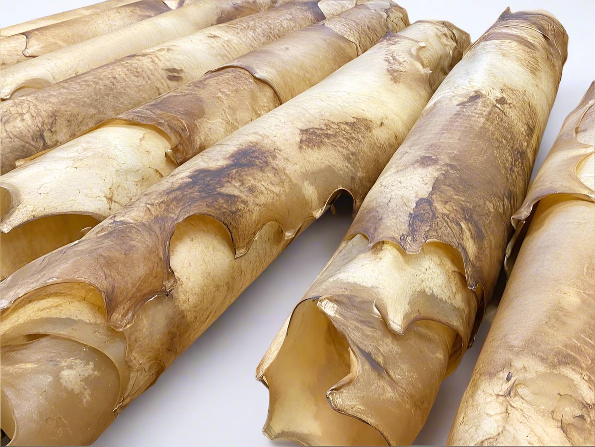 Natural Elk Rawhide – Buckskin Leather Co.